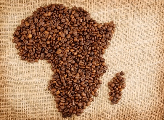 African Espresso Medium Dark – JinJin Press